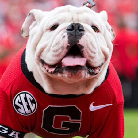 Ten jokes for UGA fans on International Joke Day - UGA Alumni