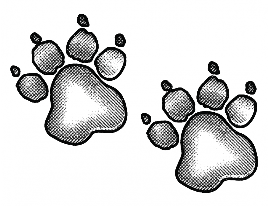 Get the UGA coloring pages you never knew you needed - UGA Alumni