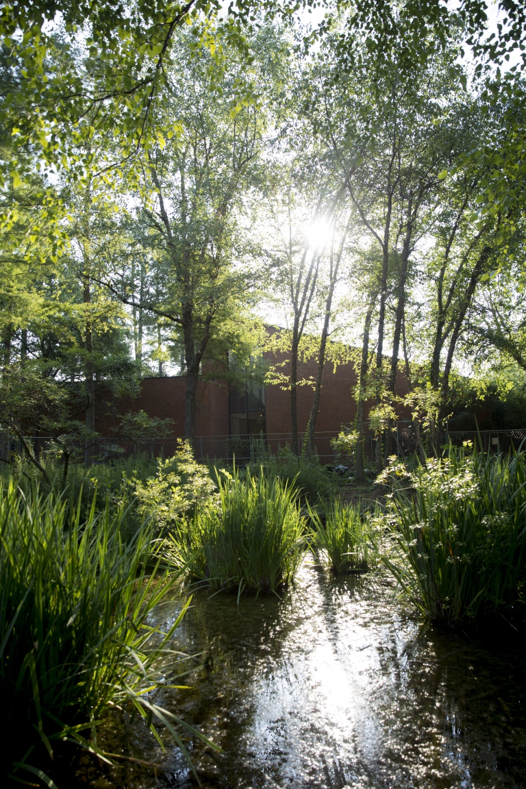 On National Picnic Day, picnic like a Bulldog - UGA Alumni