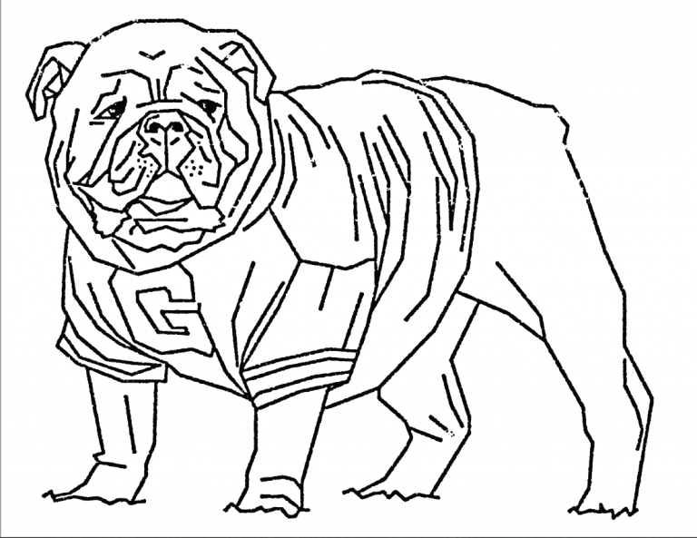 Get the UGA coloring pages you never knew you needed - UGA Alumni